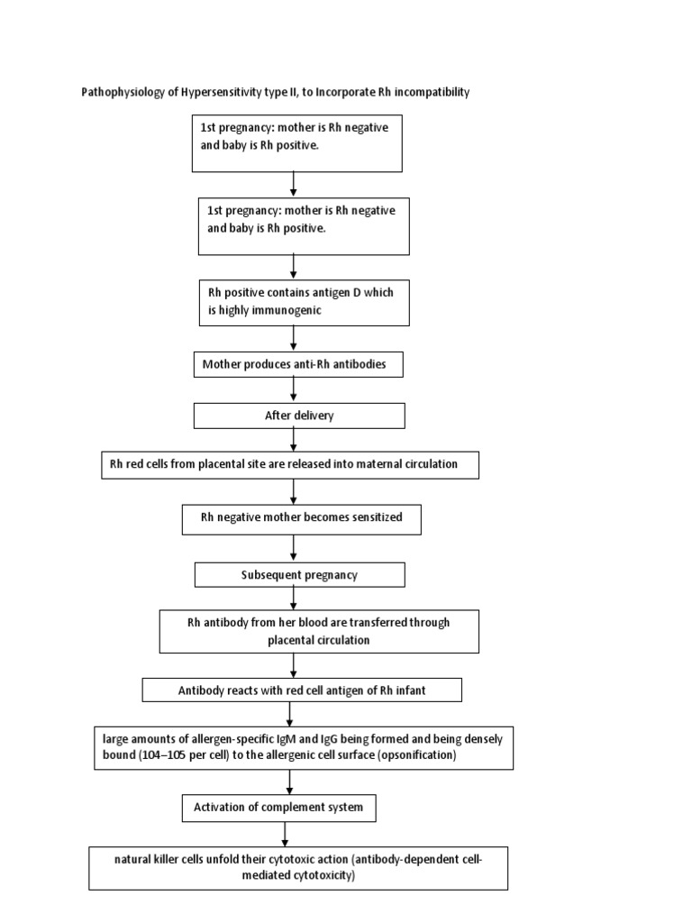 Pathophysiology of Hypersensitivity Type II | PDF | Science & Mathematics