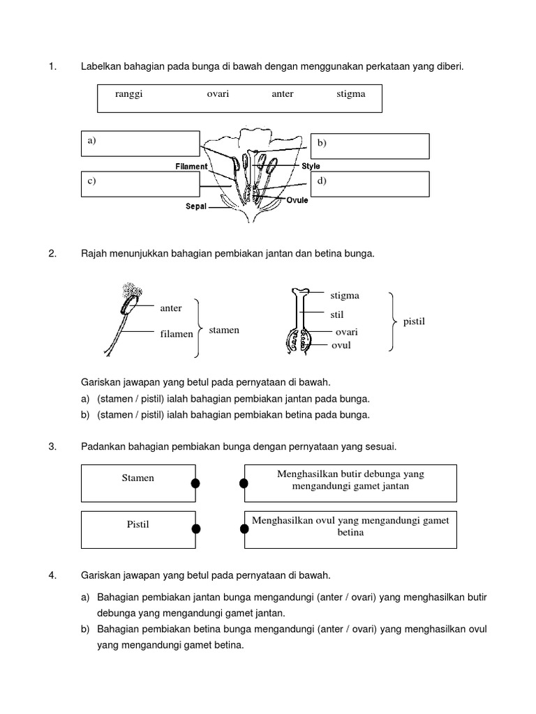 Labelkan Bahagian Pada Bunga Di Bawah Dengan Menggunakan Perkataan Yang ...