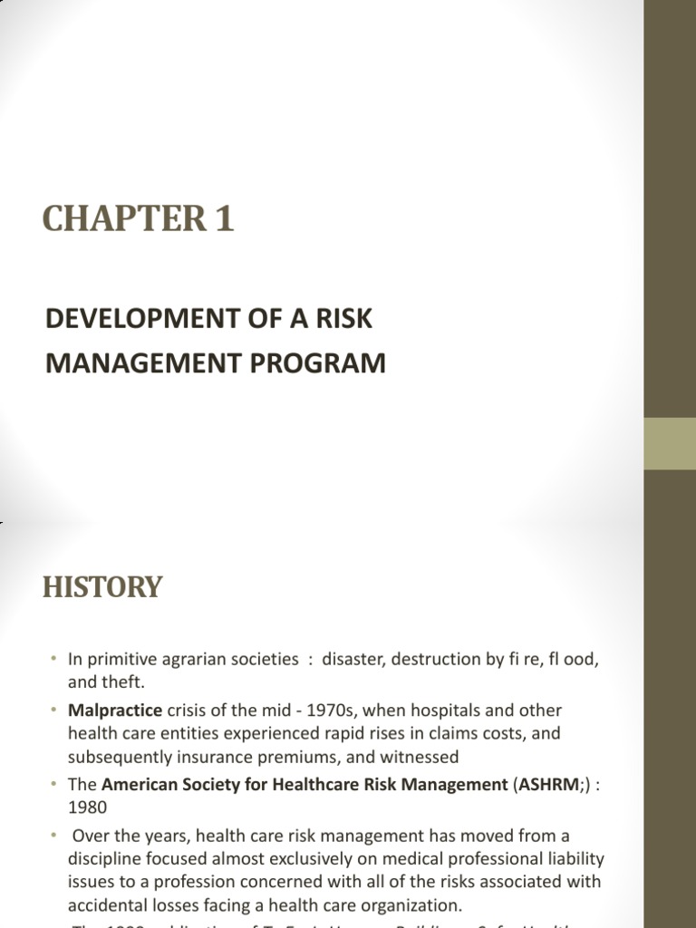 Development of Risk Management Program | PDF | Risk Management | Risk