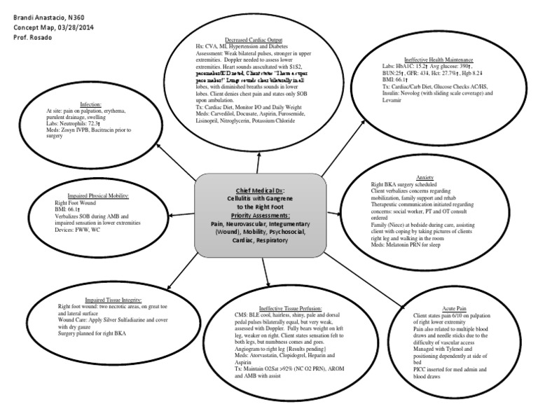 Concept Map | PDF | Artificial Cardiac Pacemaker | Heart