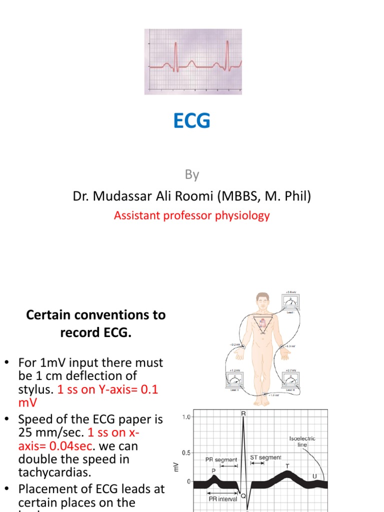 Lecture On Basics of ECG For 1st Year MBBS by Dr. Roomi | PDF ...