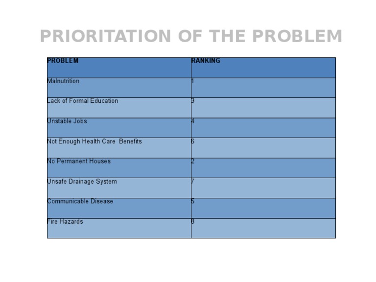 Top 8 Community Problems Ranked | PDF