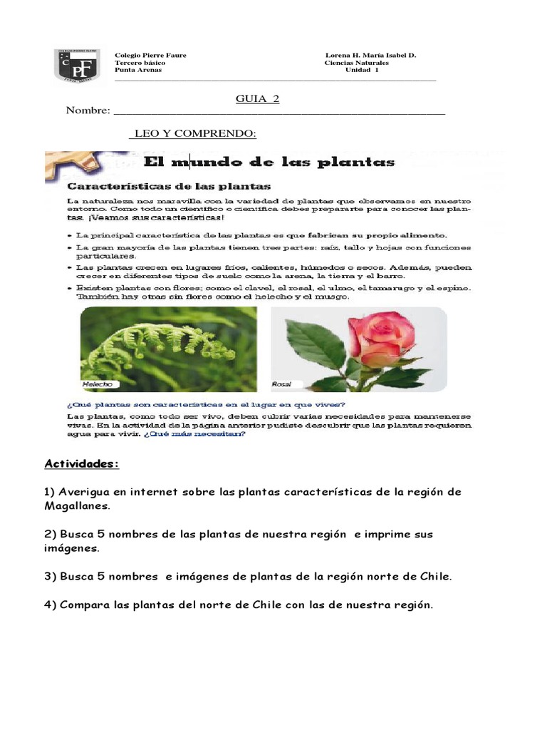 (GUIA) El Mundo de Las Plantas | PDF | Plantas | Chile