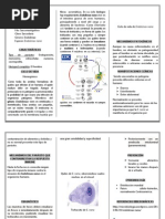 Urbanorum SPP | PDF | Lavado de manos | Heces