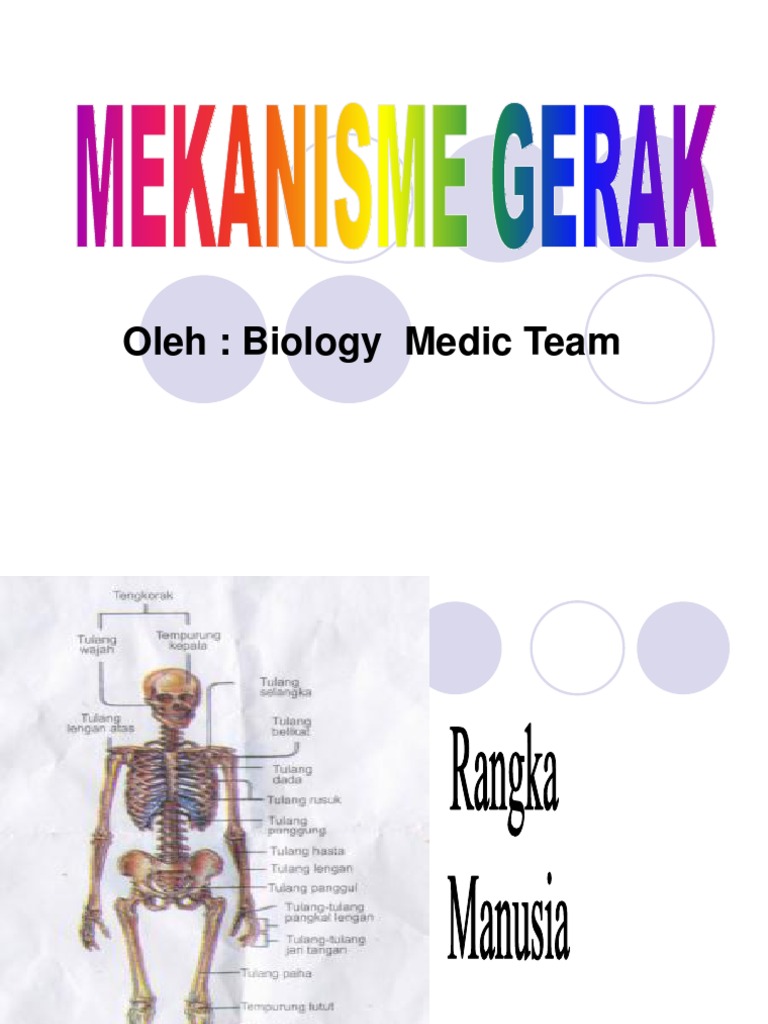 Mekanisme Gerak | PDF