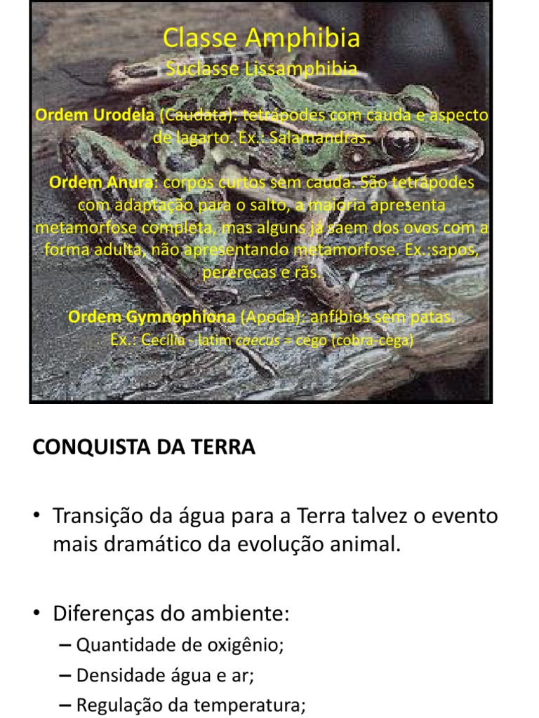 Classe Amphibia | PDF | Veia | Anfíbio