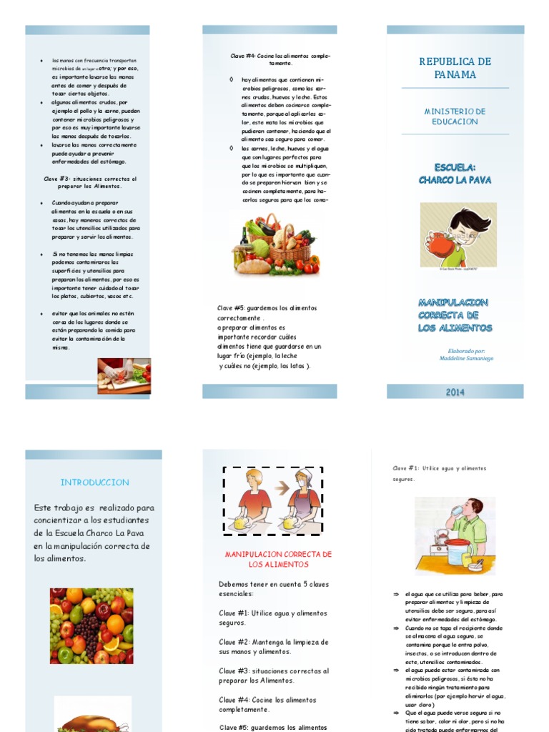 Triptico | PDF | Carne | Alimentos