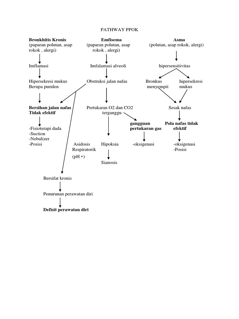 Pathway Ppok | PDF