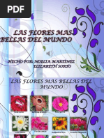 Bingo de Plantas Pictos | PDF