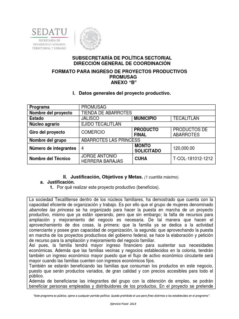 ProyectoABARROTESLASPRINCESS Fappa | PDF