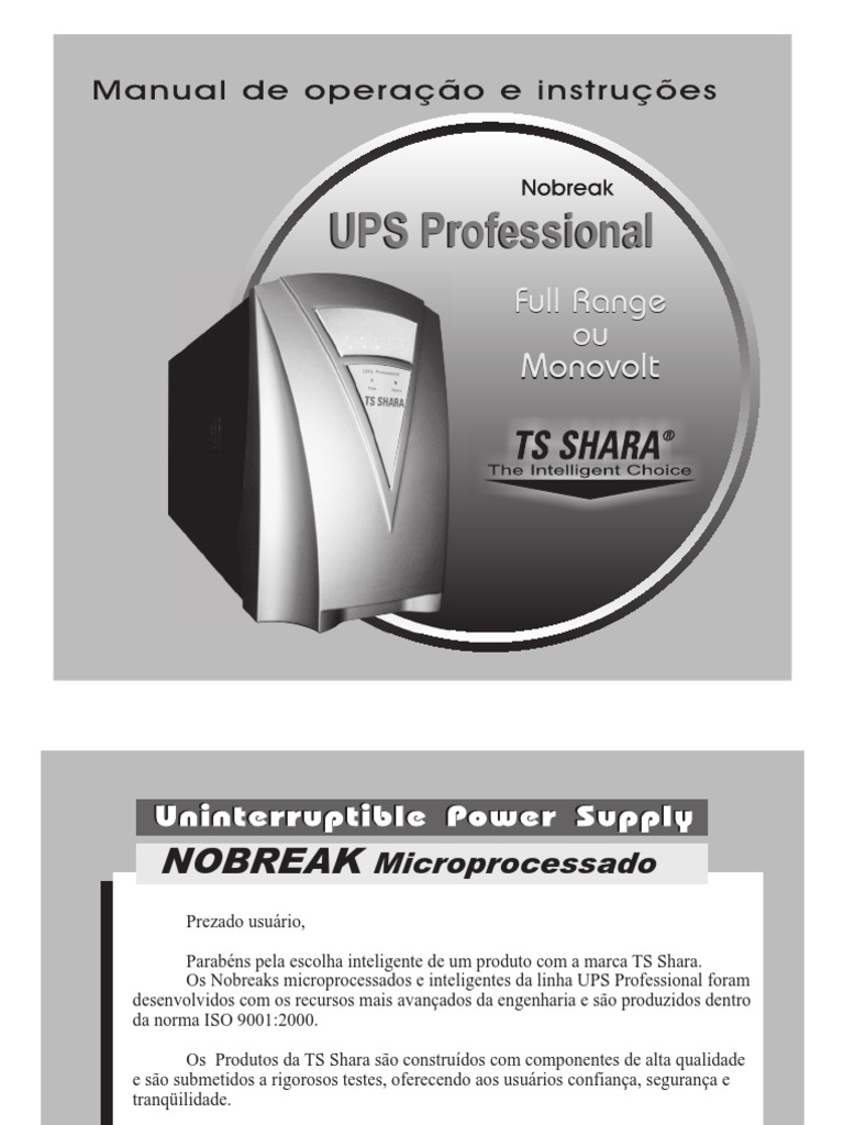 Manual UPS Professional | PDF | Tempo | Eletricidade