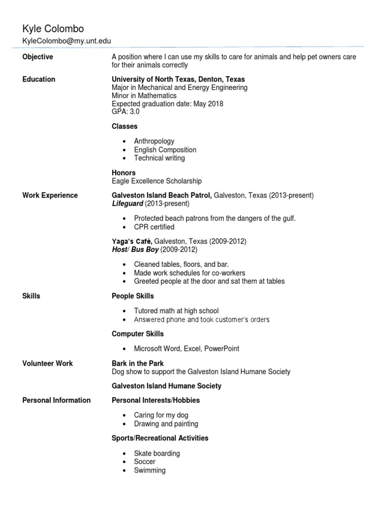 Mock Resume | PDF
