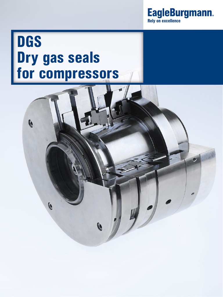 Dgs-Ep-E E4 Dgs-Dry Gas Seals 02.14 | PDF