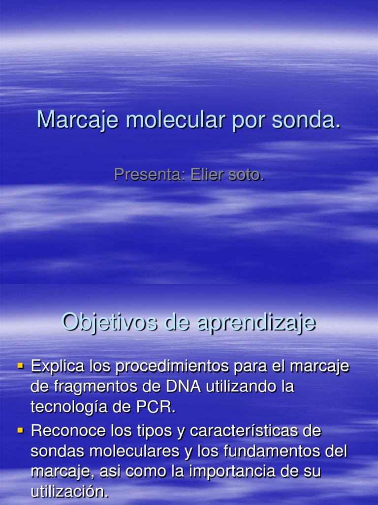7.8 Marcaje Sondas PCR | PDF | Adn | Reacción en cadena de la polimerasa