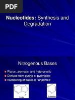 Nucleic Acid Metabolism | PDF | Nucleic Acids | Nucleotides