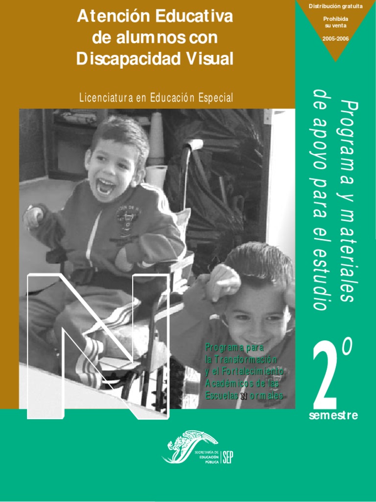 D Visual | PDF | Educación especial | Plan de estudios