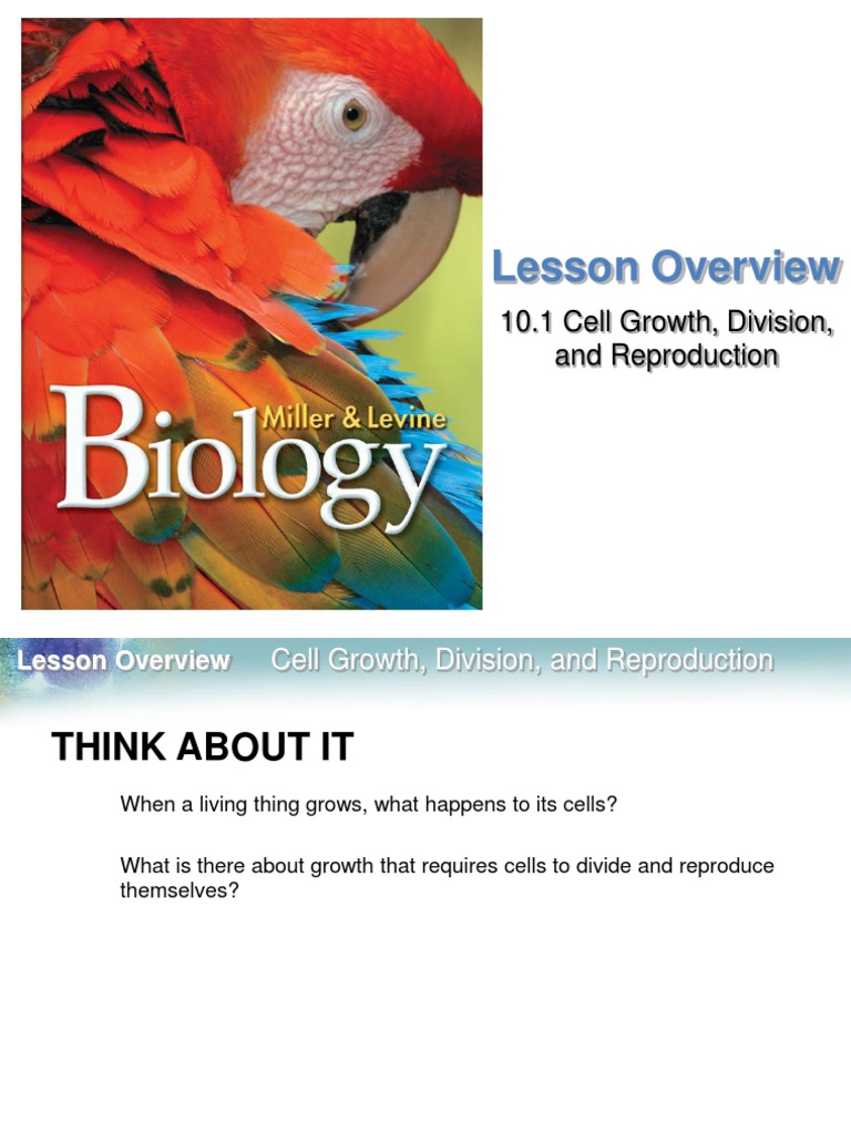 Cell Growth and Division Overview | PDF | Cell Growth | Cell (Biology)