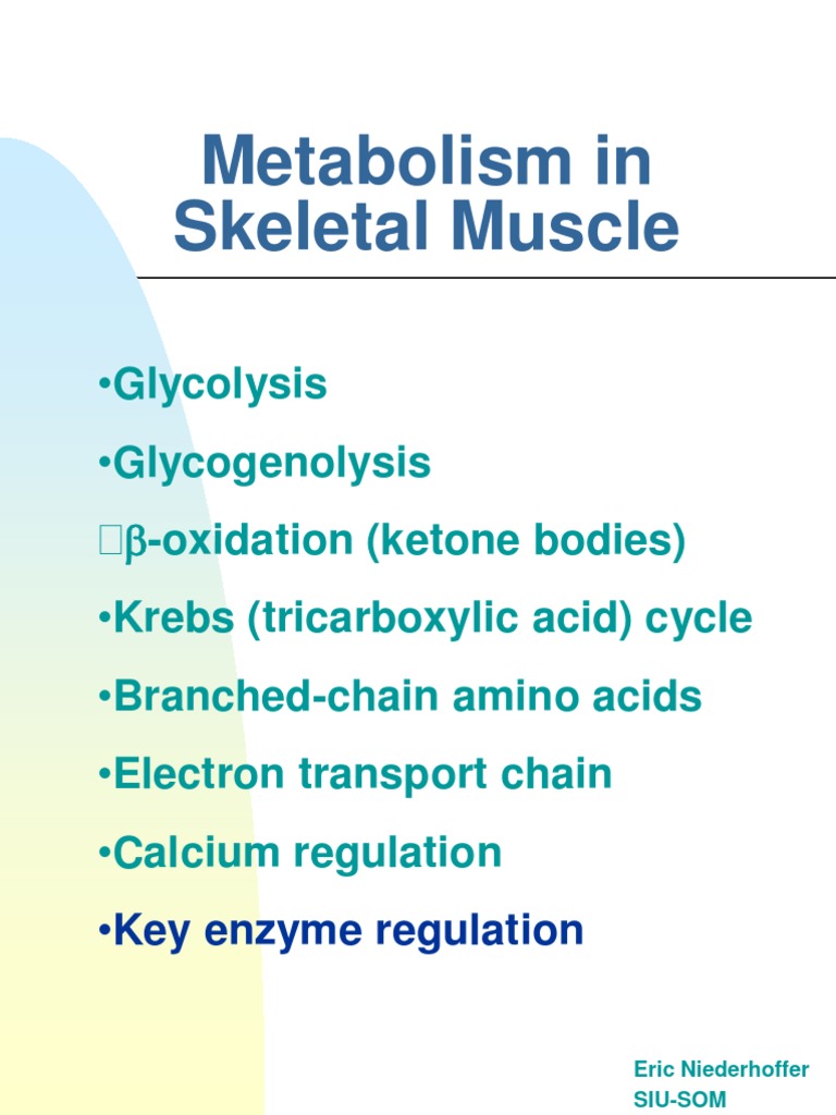 Skeletal Muscle Metabolism Overview | PDF | Wellness | Technology ...
