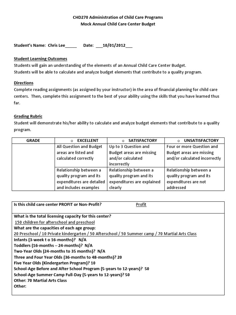 Mock Budget | PDF | Child Care | Relationships