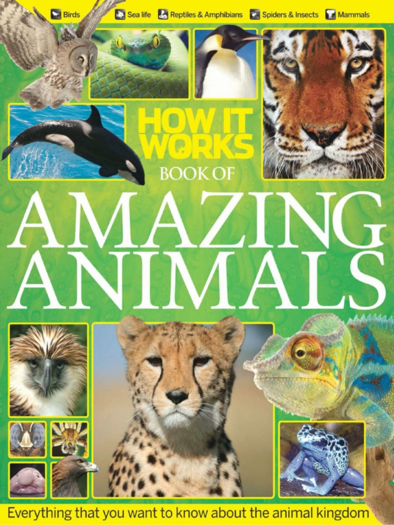 How It Works Amazing Animals | PDF