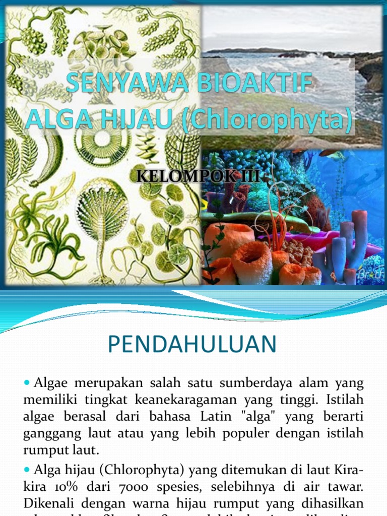 Keanekaragaman Algae dan Senyawa Bioaktifnya | PDF