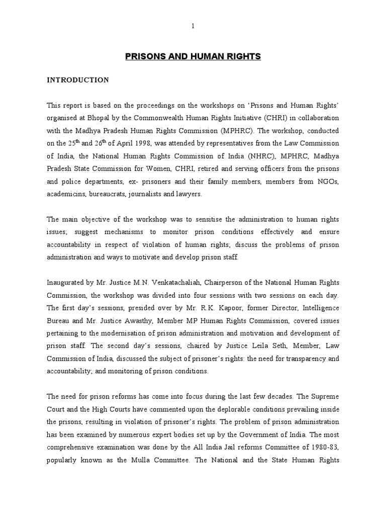 Human Rights Project | PDF | Legal Aid | Prison