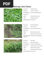 Gambar Dan Nama Latin Gulma Beserta Keterangnnya | PDF