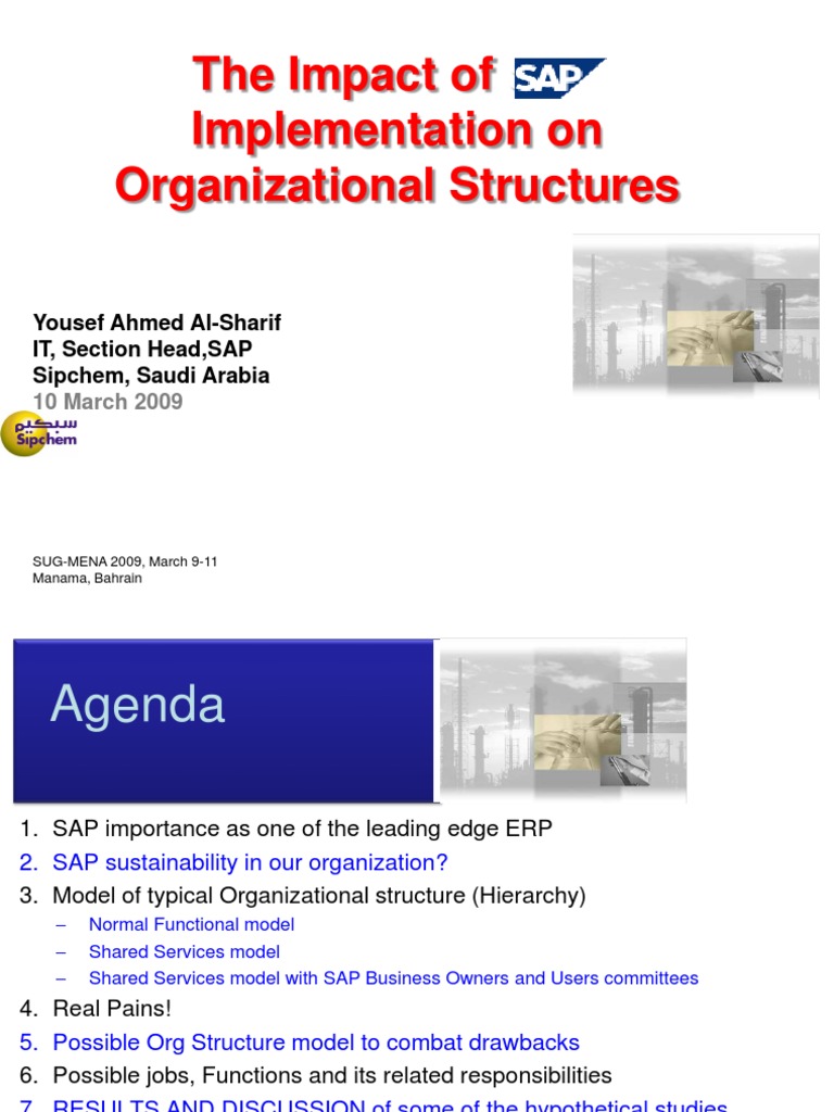 SAP Implementation Impact on Organizational Structure | PDF ...