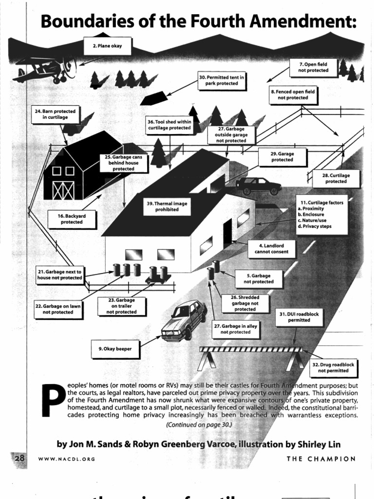 Fourth Amendment Made Graphic | Download Free PDF | Expectation Of ...