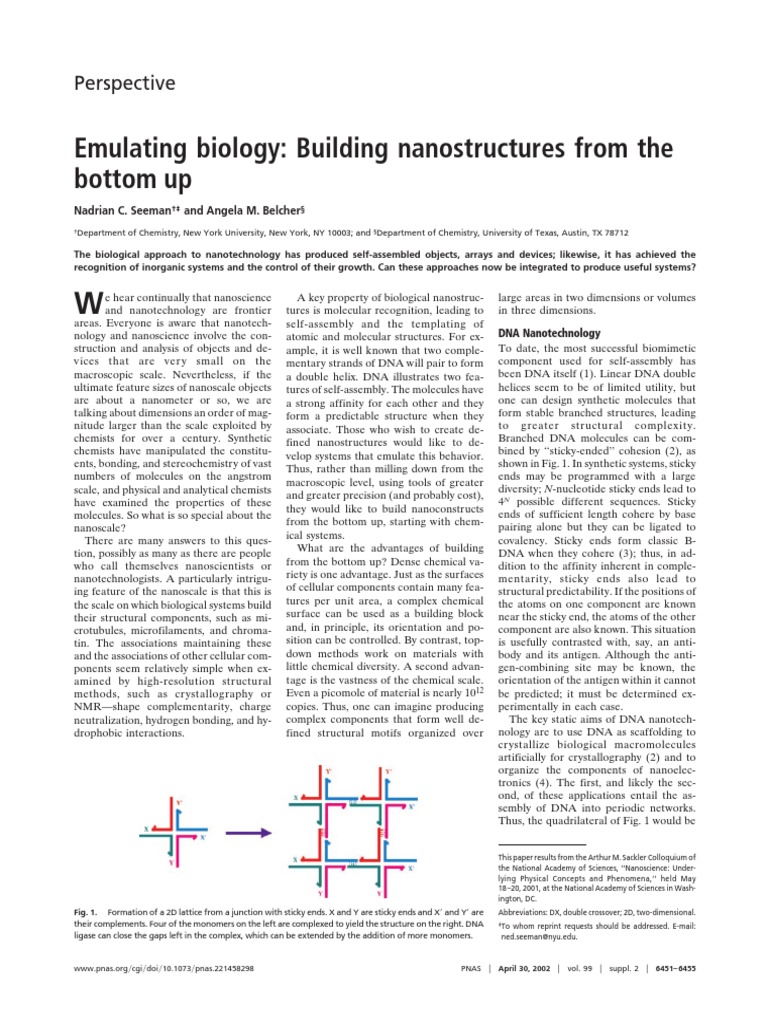 Emulating Biology Building Nanostructures From The Bottom Up | PDF ...