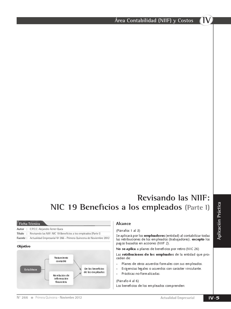 Nic 19 | PDF | normas internacionales de INFORMACION FINANCIERA ...