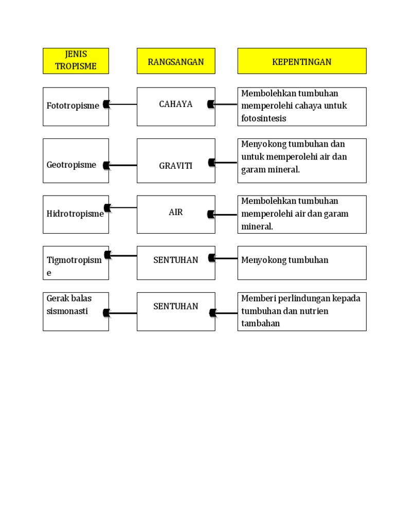 JENIS TROPISME Dan Kepentingannya | PDF | Sains & Matematika ...