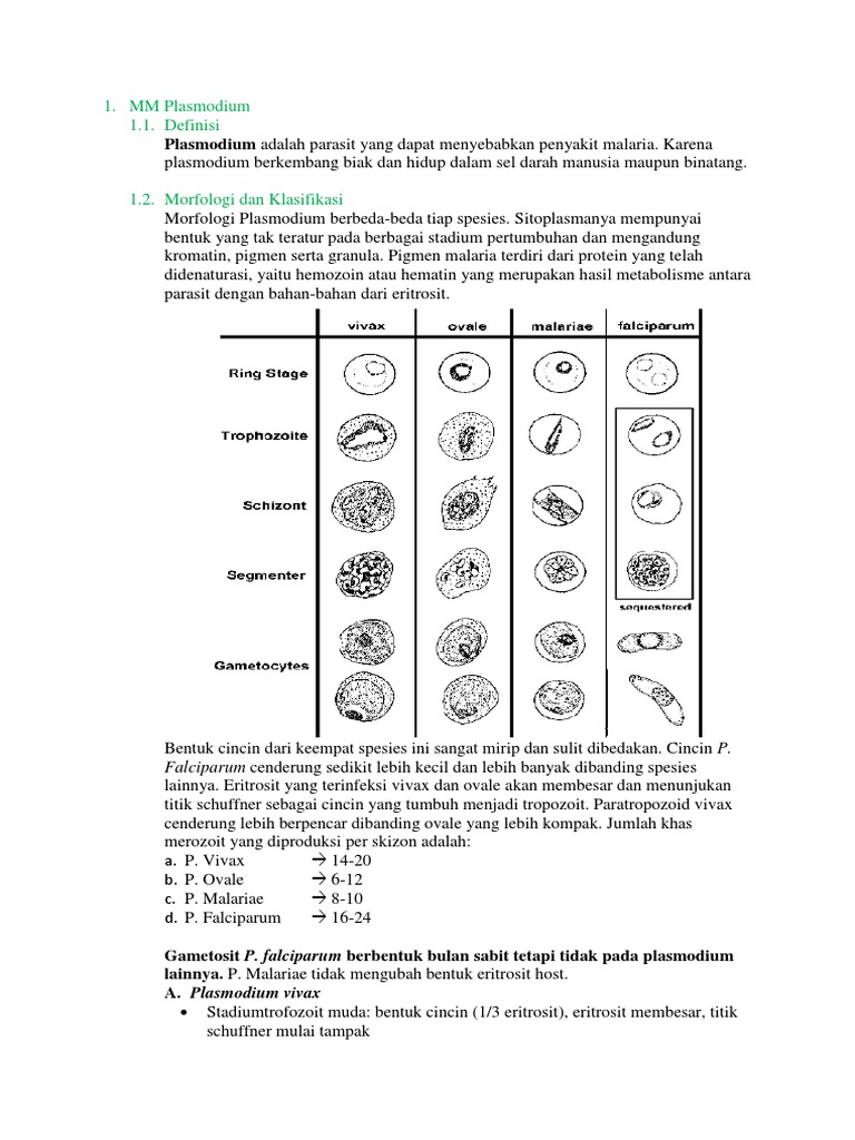 Mandiri Skenario 3 Blok IPT | PDF | Griya & Taman | Kesehatan Holistik