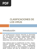 Clasificación de Baltimore en Virología | PDF | Virus | Retrovirus