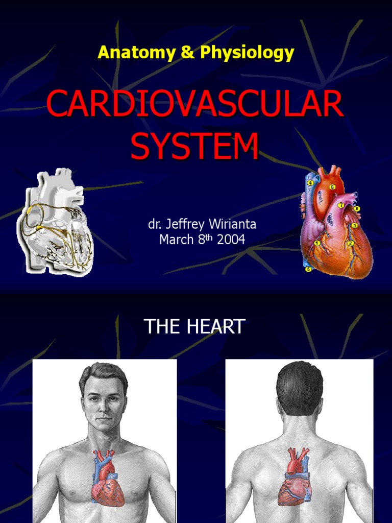 Anatomy and Physiology of The Heart | PDF