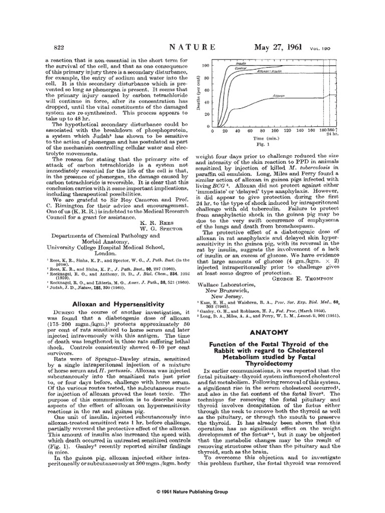 Alloxan and Hypersensitivity | PDF