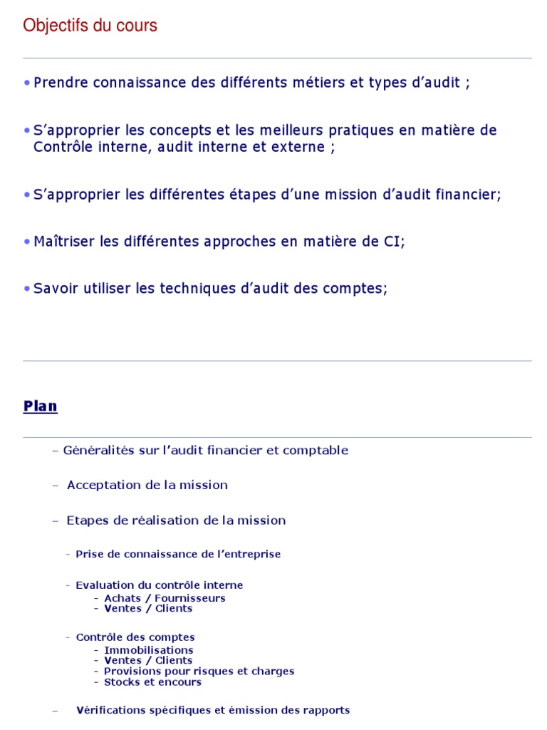 Guide Complet sur l'Audit Financier | PDF | Audit financier | Audit