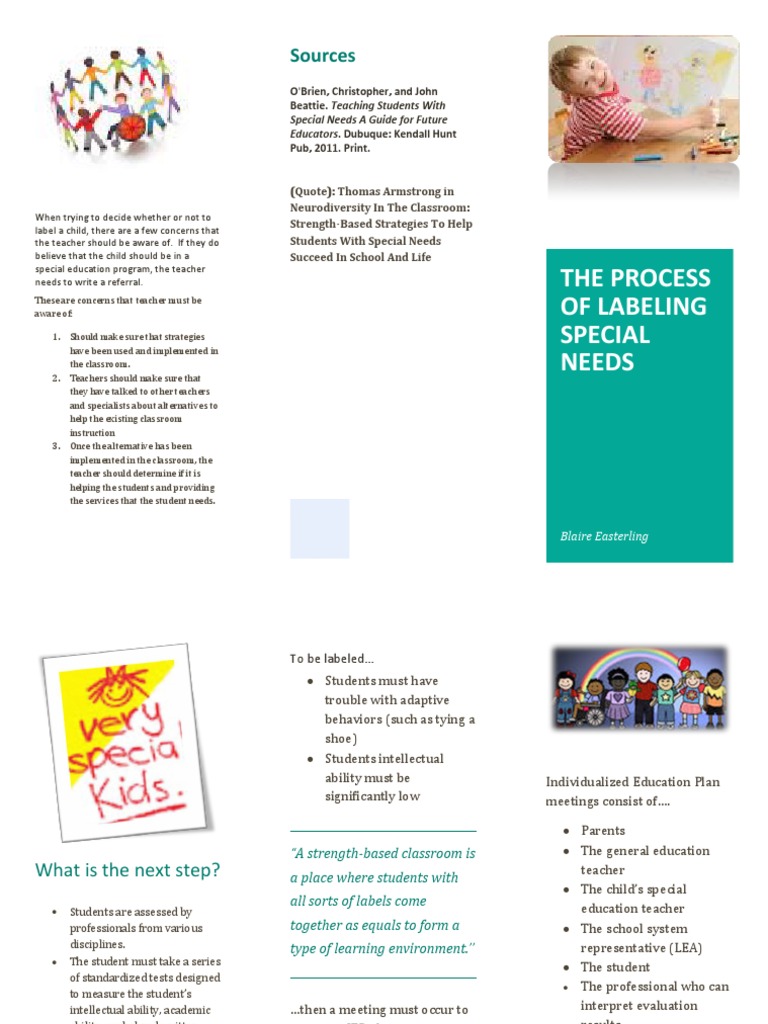 Special Needs Labeling Process Guide | PDF