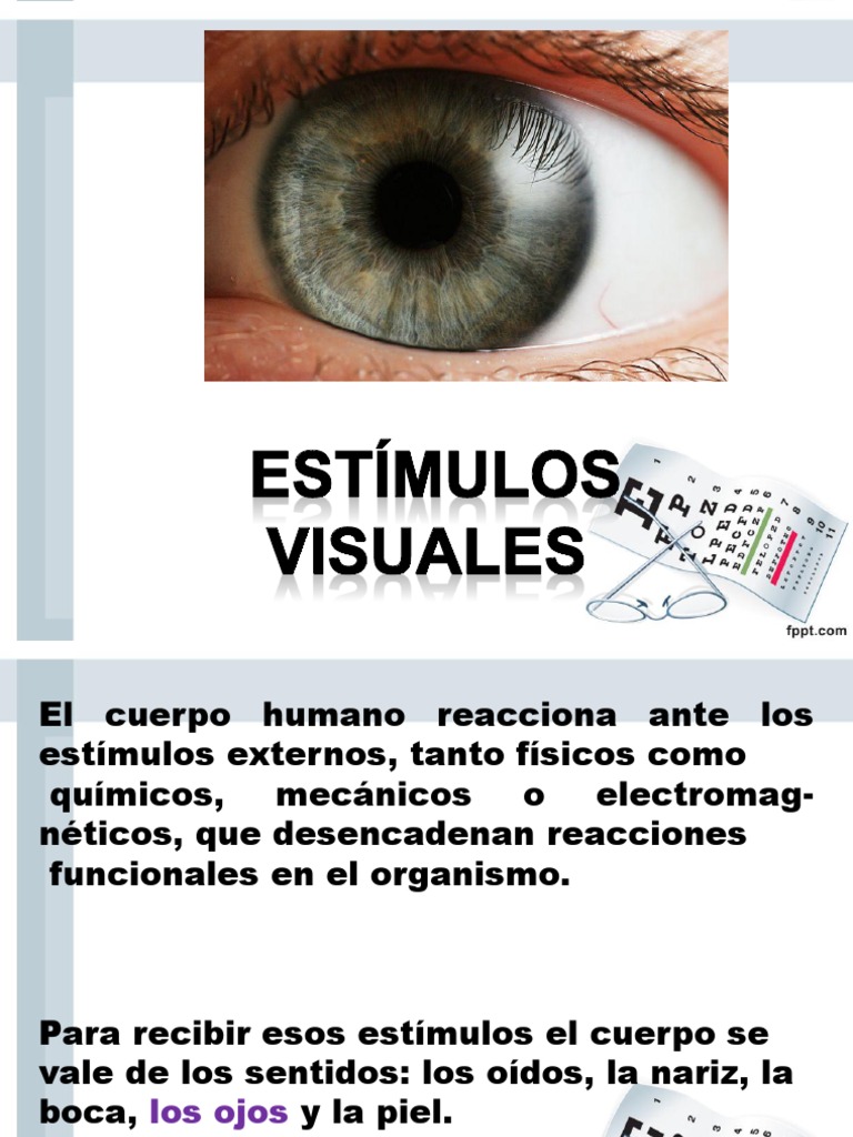 Estimulo Visual | PDF | Percepción visual | Ojo