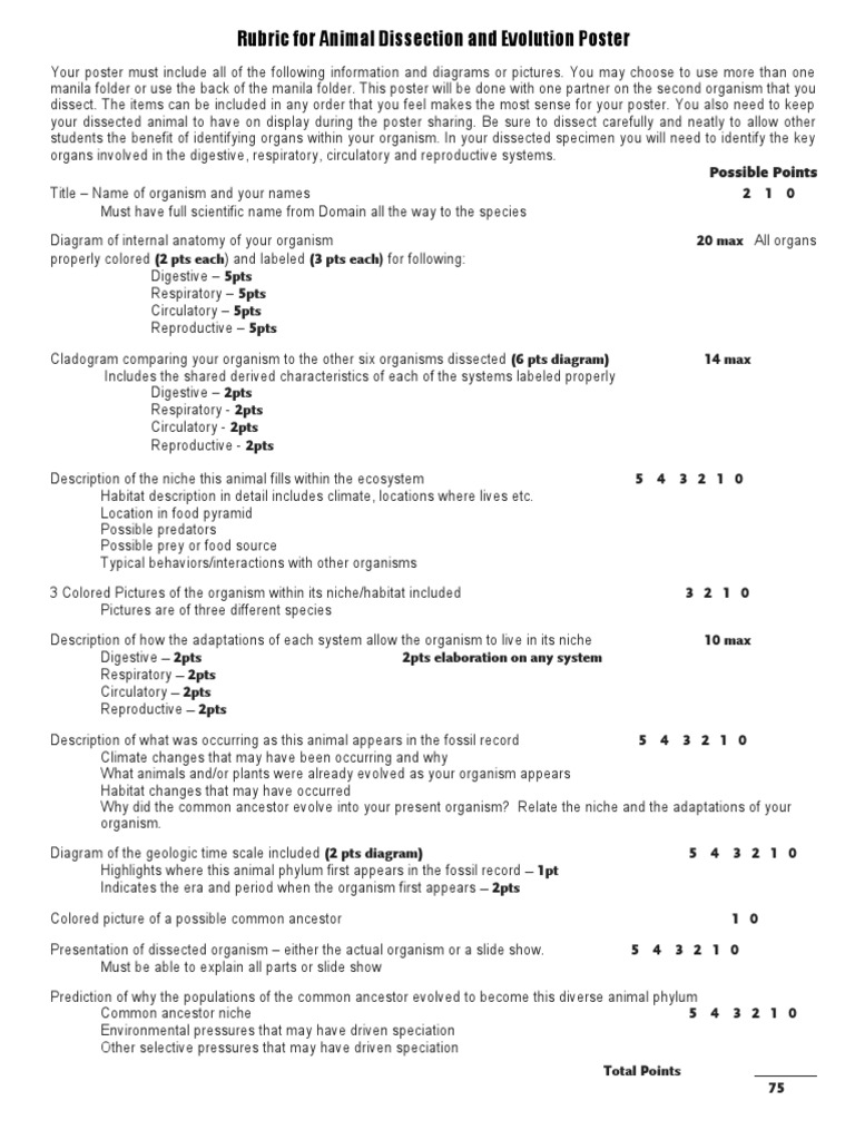 Animal Dissection Poster Guidelines | PDF | Ecological Niche | Evolution