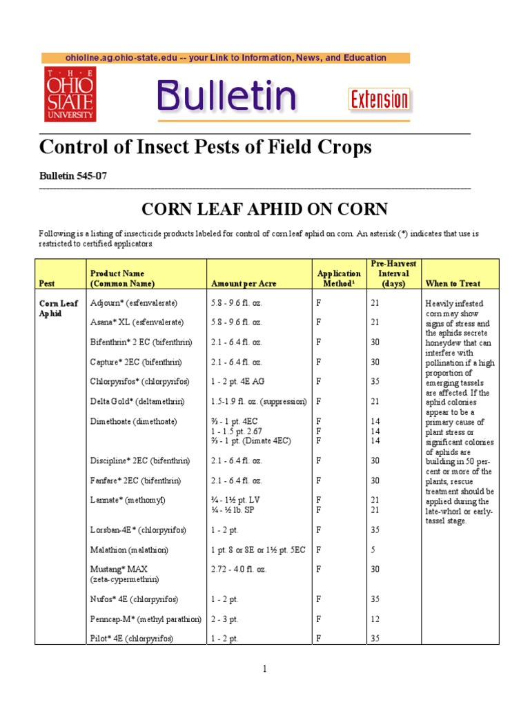 Control of Insect Pests of Field Crops: Corn Leaf Aphid On Corn | PDF ...