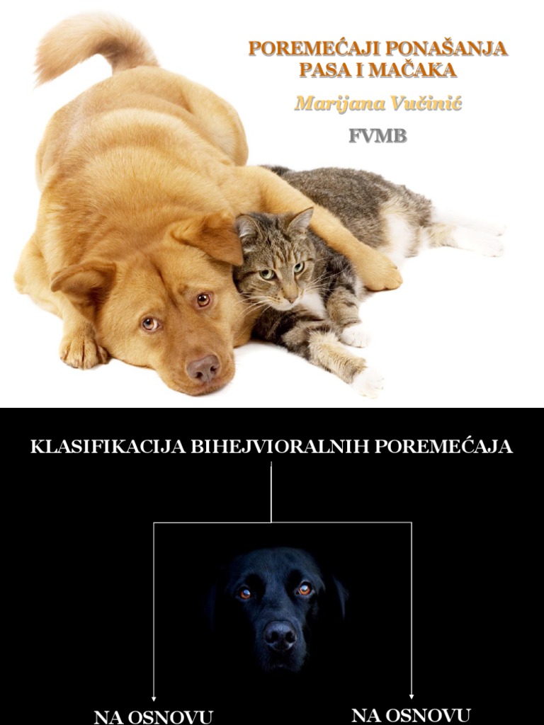 Poremecaji Ponasanja Pasa I Macaka Palic 2011 | PDF