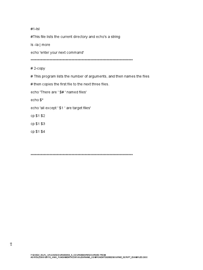Bourne Script Examples | PDF | Command Line Interface | Computer File