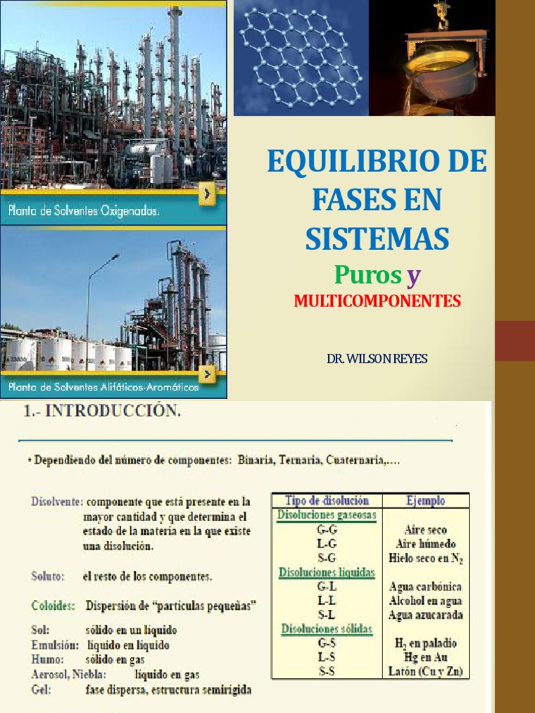 Equilibrio de Fases en Sistemas Multicomponentes | PDF