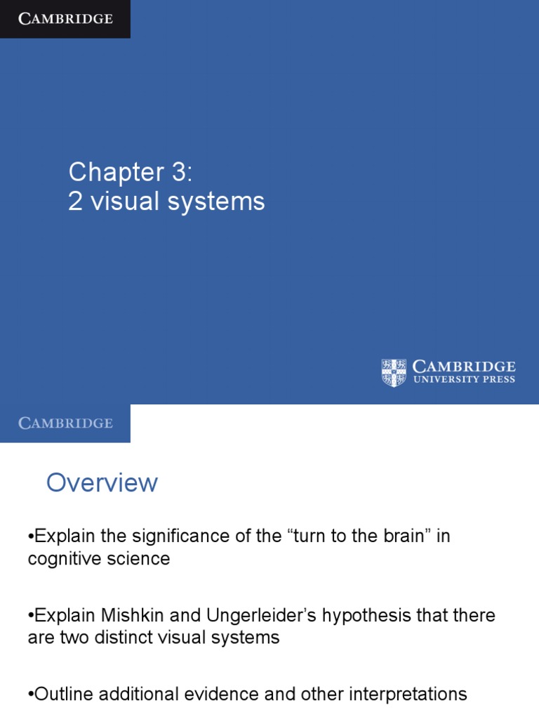 Visual Systems | PDF | Science & Mathematics