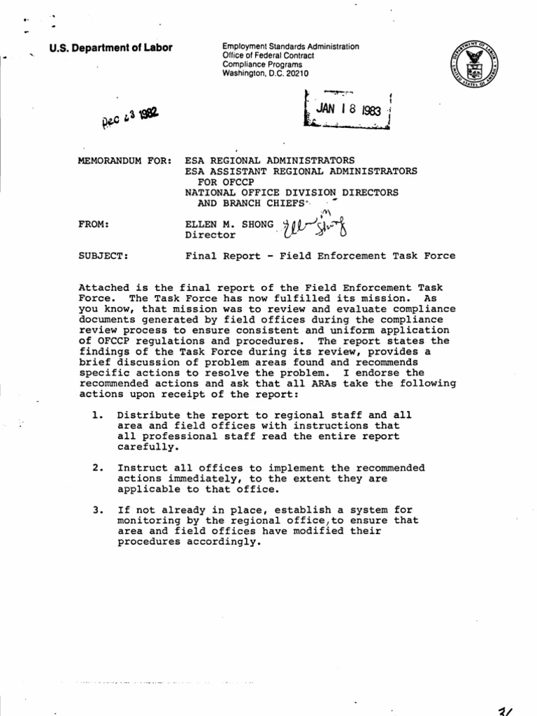 Field Enforcement Task Force Final Report | PDF | Disparate Impact | Regulatory Compliance