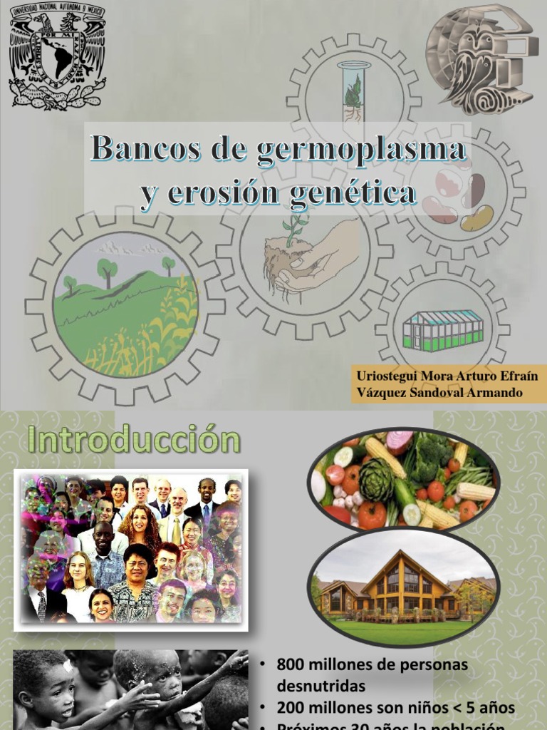 Bancos de Germoplasma y Erosion Genetica | PDF | Gene | Organización de ...