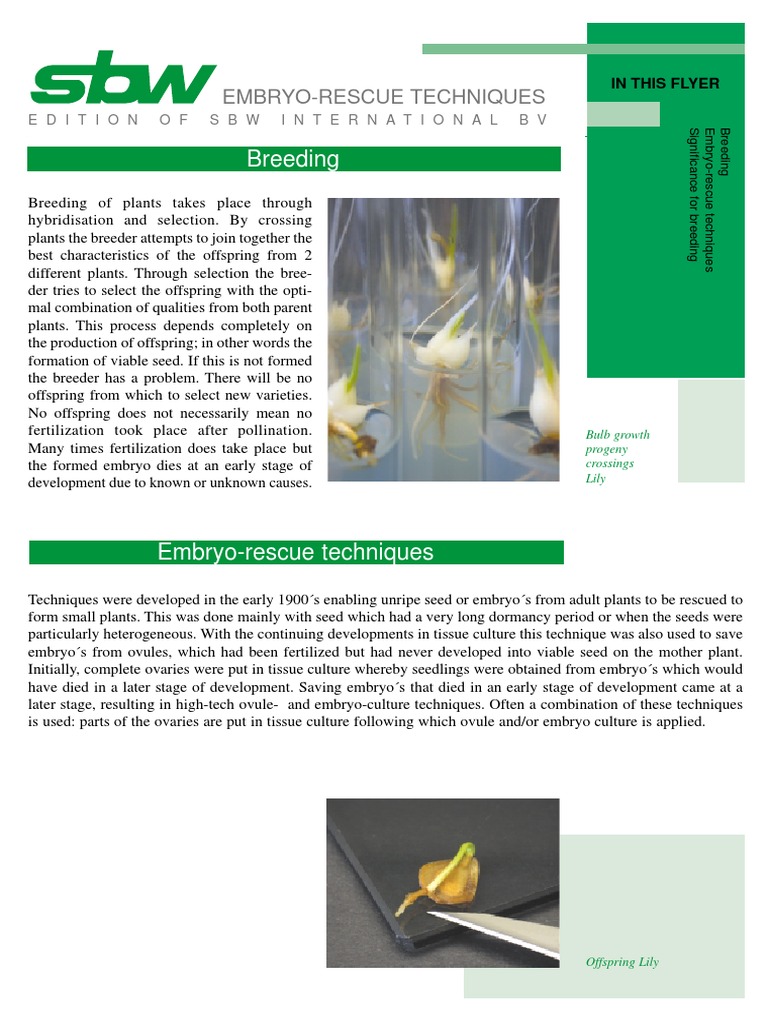 Embryo Rescue Techniques | Plant Breeding | Seed