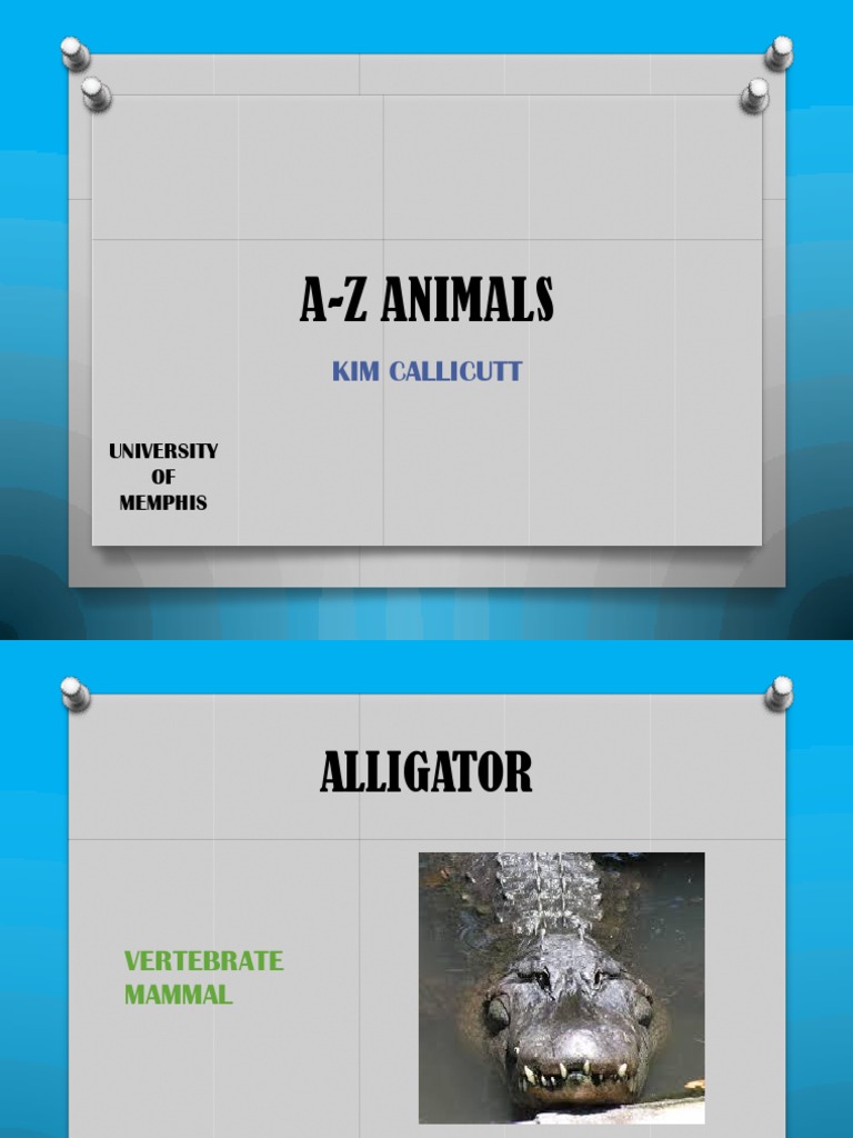 A-Z Animals Powerpoint | PDF | Predation | Mammals