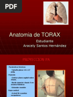 INTERPRETACION DE RX TORAX AP, PA Y LATERAL | PDF | Pulmón | Tórax ...